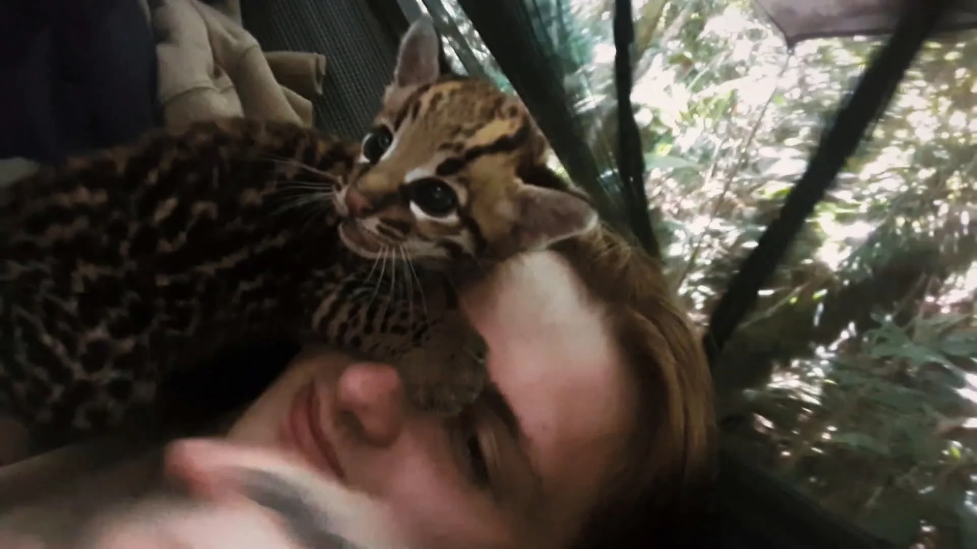 Wildcat – Movie Review — Phoenix Film Festival
