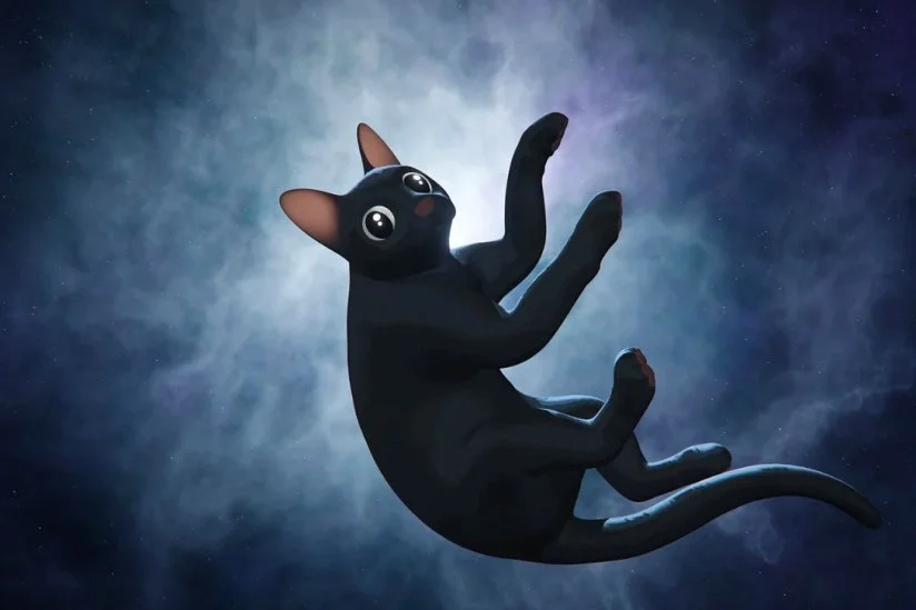 Flow – Movie Review — Phoenix Film Festival