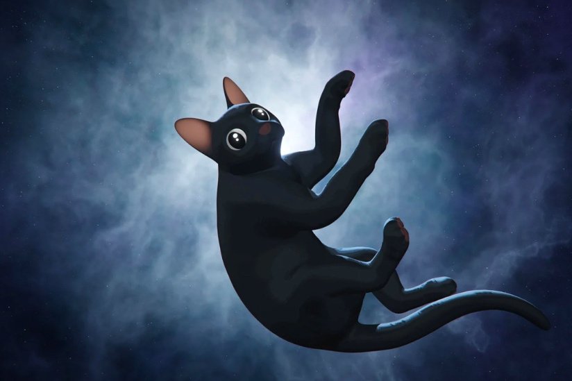 Flow – Movie Review — Phoenix Film Festival