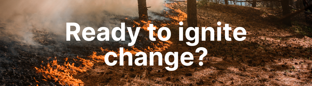 Fire Grand Challenge — Conservation X Labs