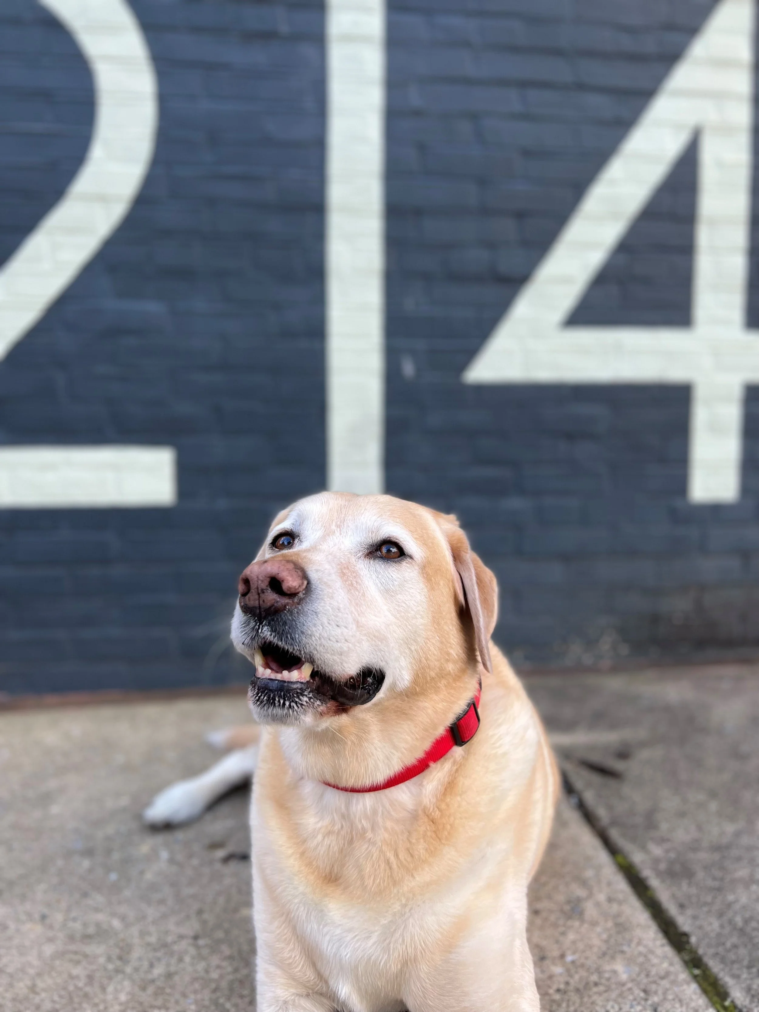 About — Capstone Design + Build