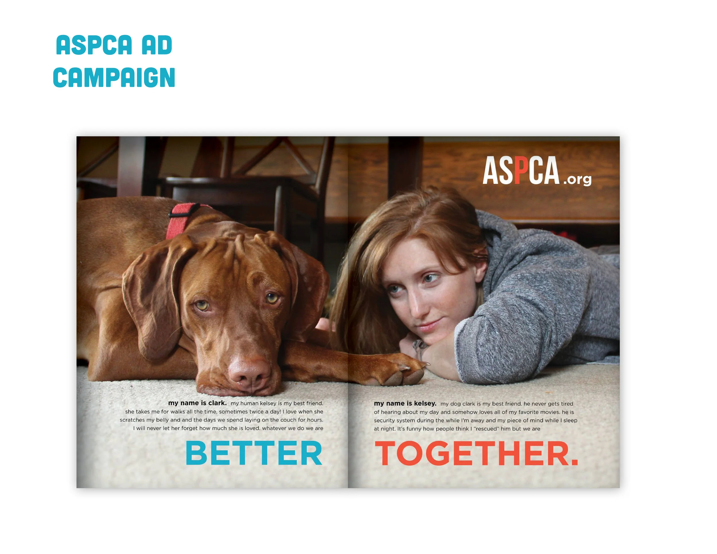 Sad Aspca Ads