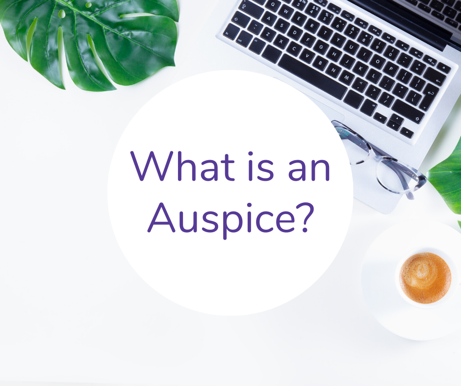 Auspice — The Grants Hub