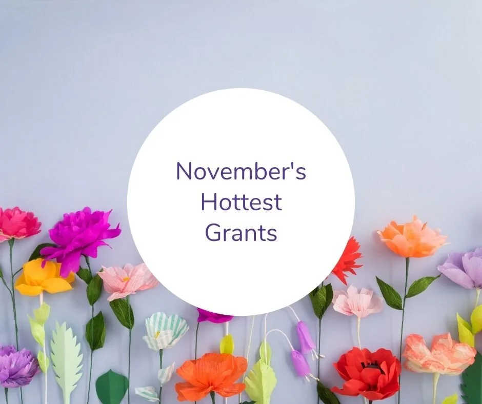 Grants to Check Out in November — The Grants Hub