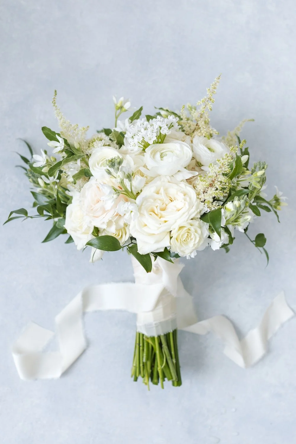 Colorbox Photography