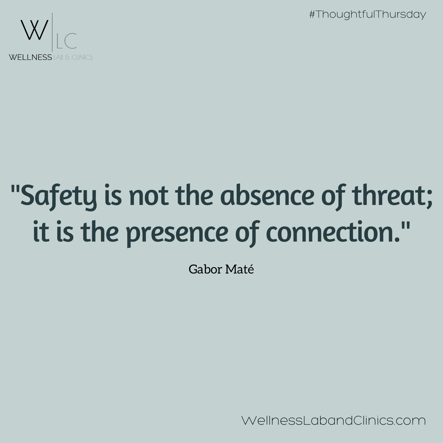 THOUGHTFUL THURSDAY: Safety — Wellness Lab & Clinics