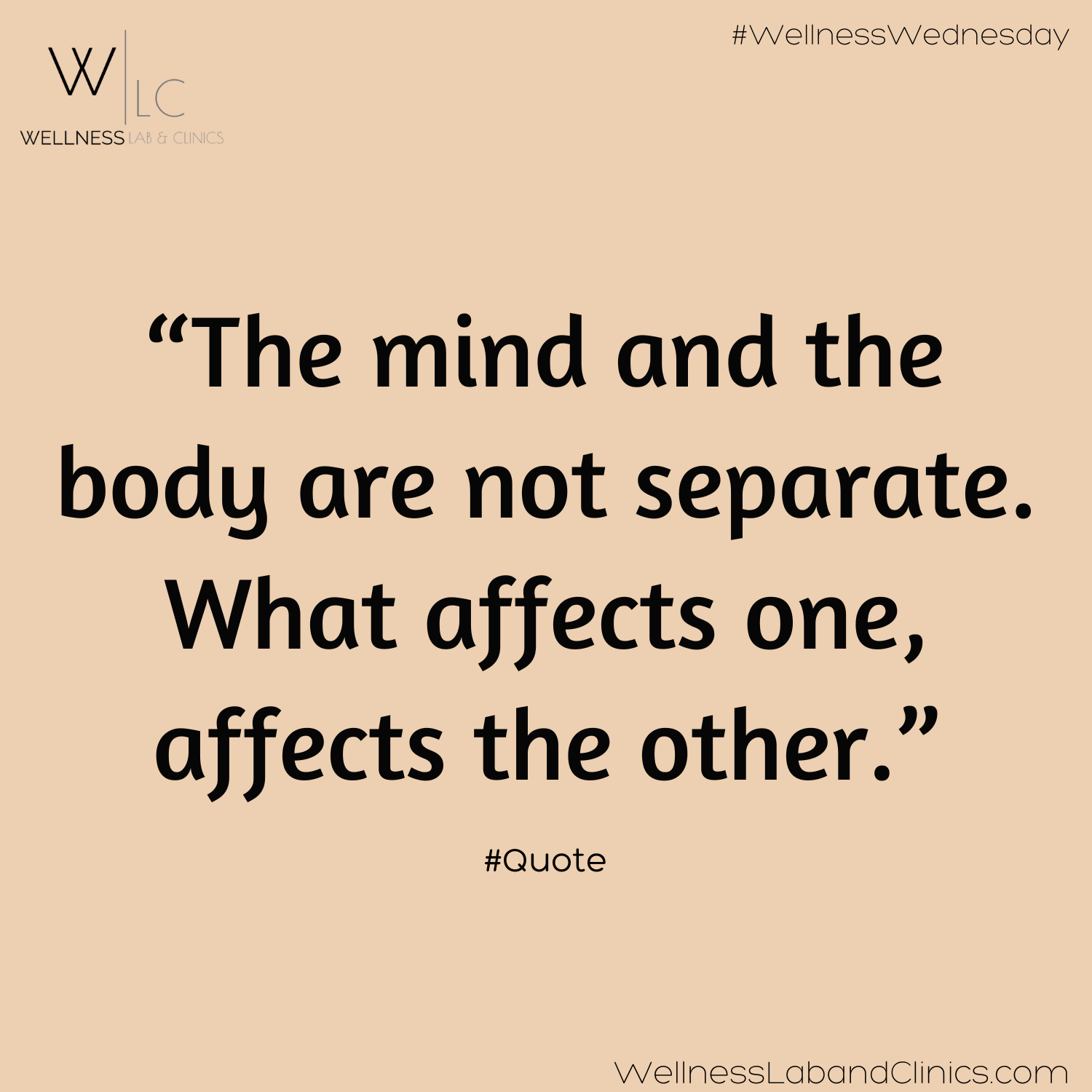 WELLNESS WEDNESDAY: Mind & Body — Wellness Lab & Clinics