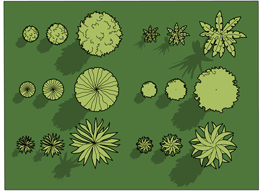 Trees — Revit Pure
