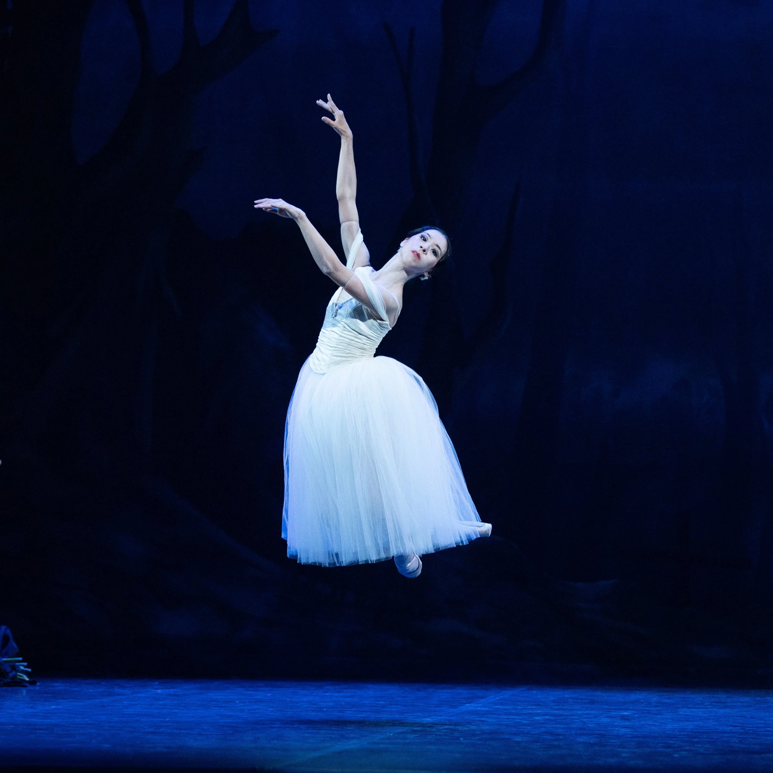 Blog — Ballet Without Borders