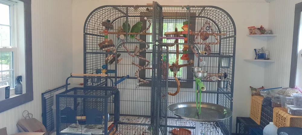 Home Sanctuary — Foster Parrots — The New England Exotic Wildlife Sanctuary