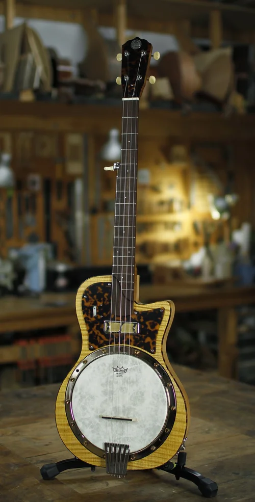 Ozark — Daddy Mojo Electrics