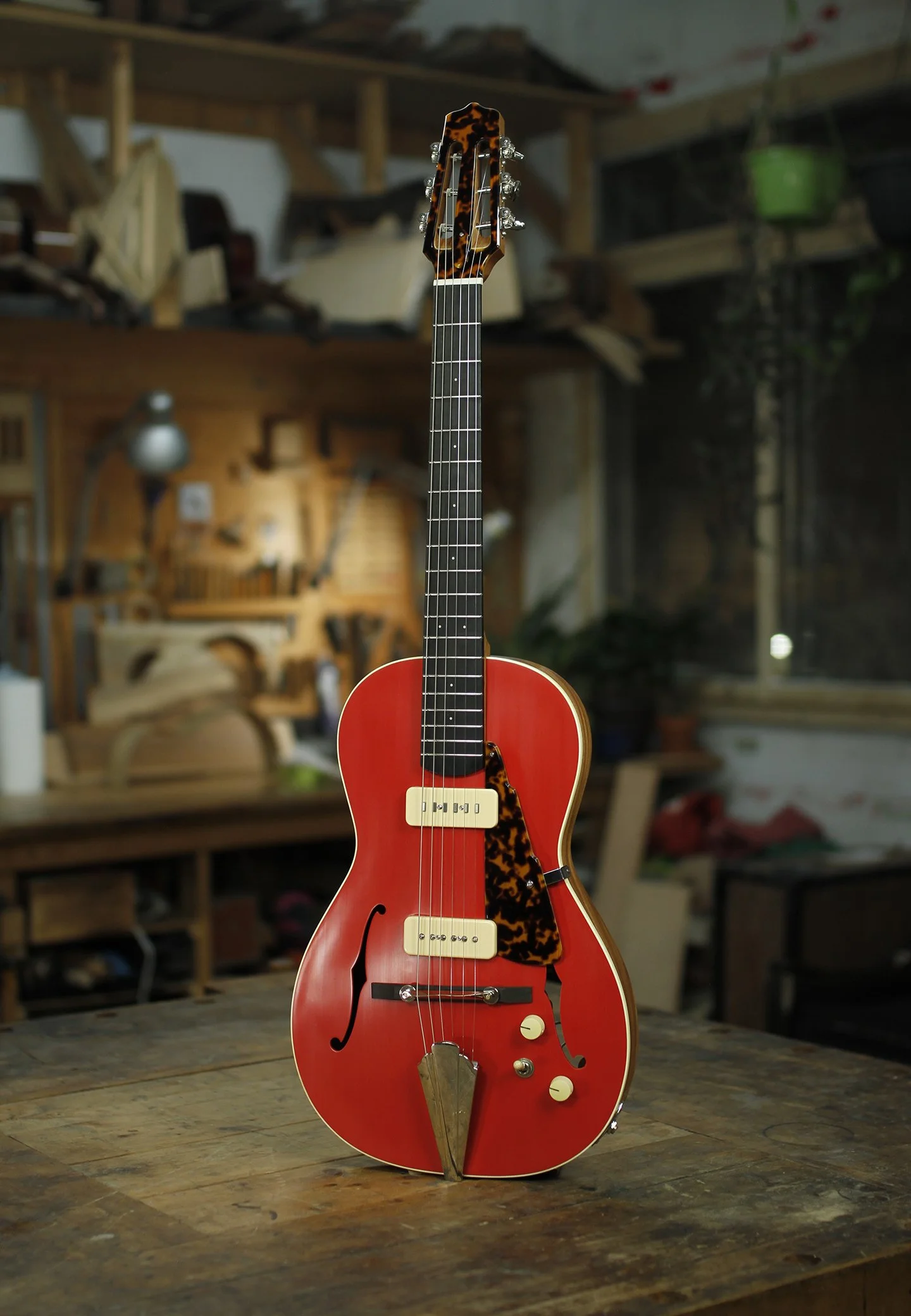 Rosetta — Daddy Mojo Electrics