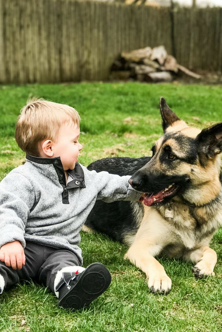 5 Tips for Introducing Your Pet to Your New Baby — First Thyme Mom