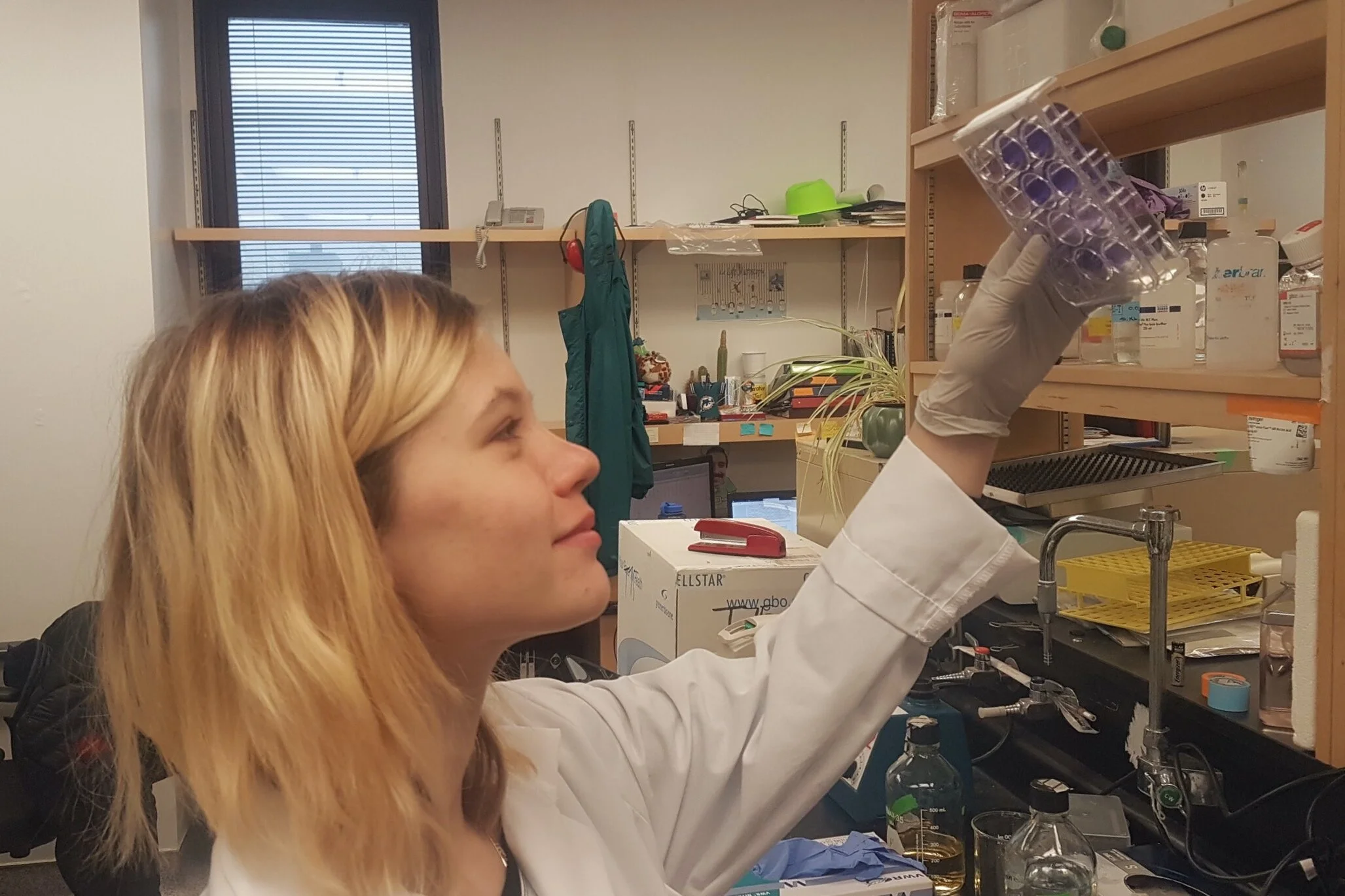 TEAM — THE MCCORMICK LAB