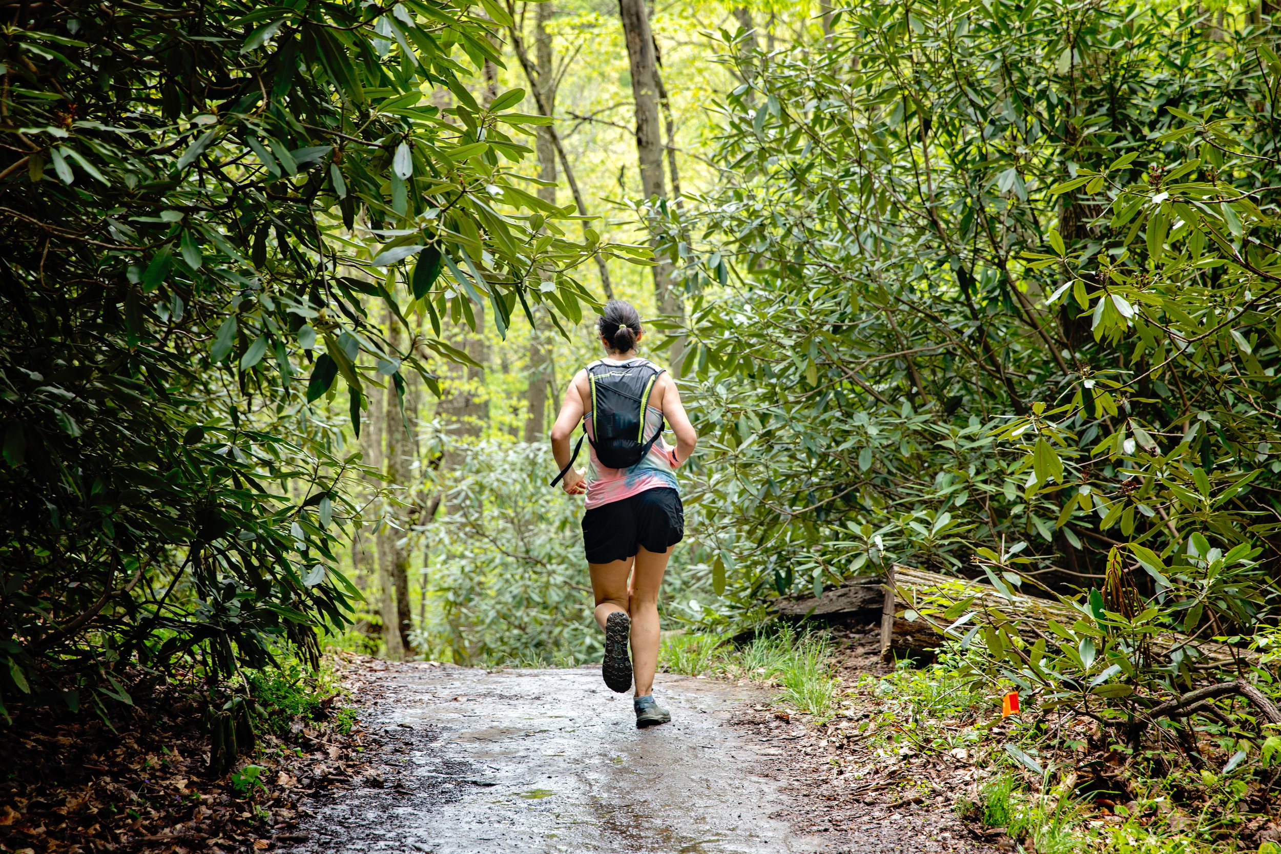 Falling Water 100K — Rim to River Endurance Co.