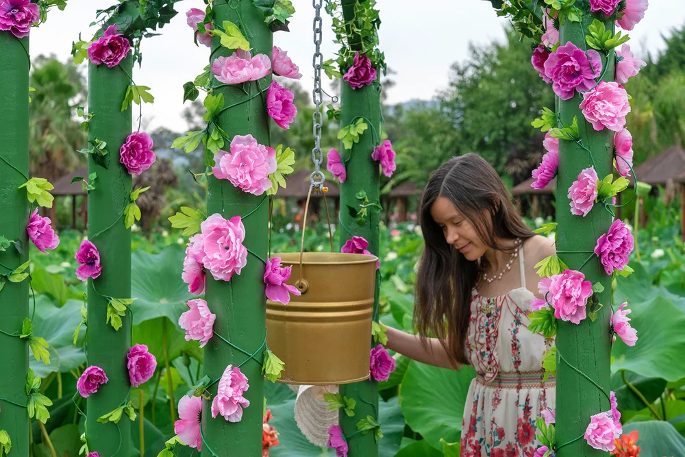 Blue Lotus Water Garden — Thaneeya.com