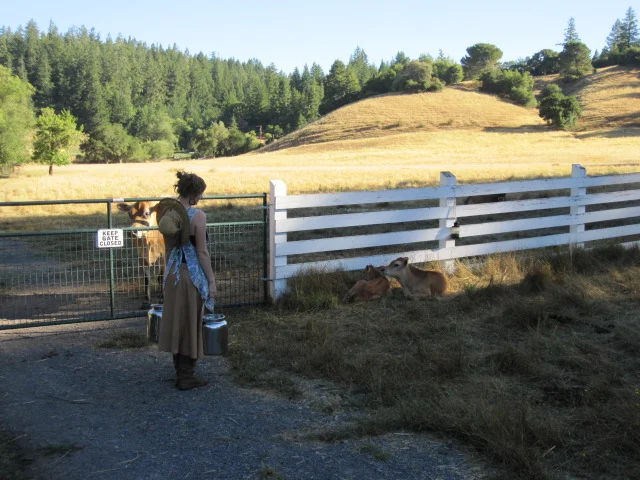 Bramble Tail Homestead — GREEN VALLEY FARM + MILL
