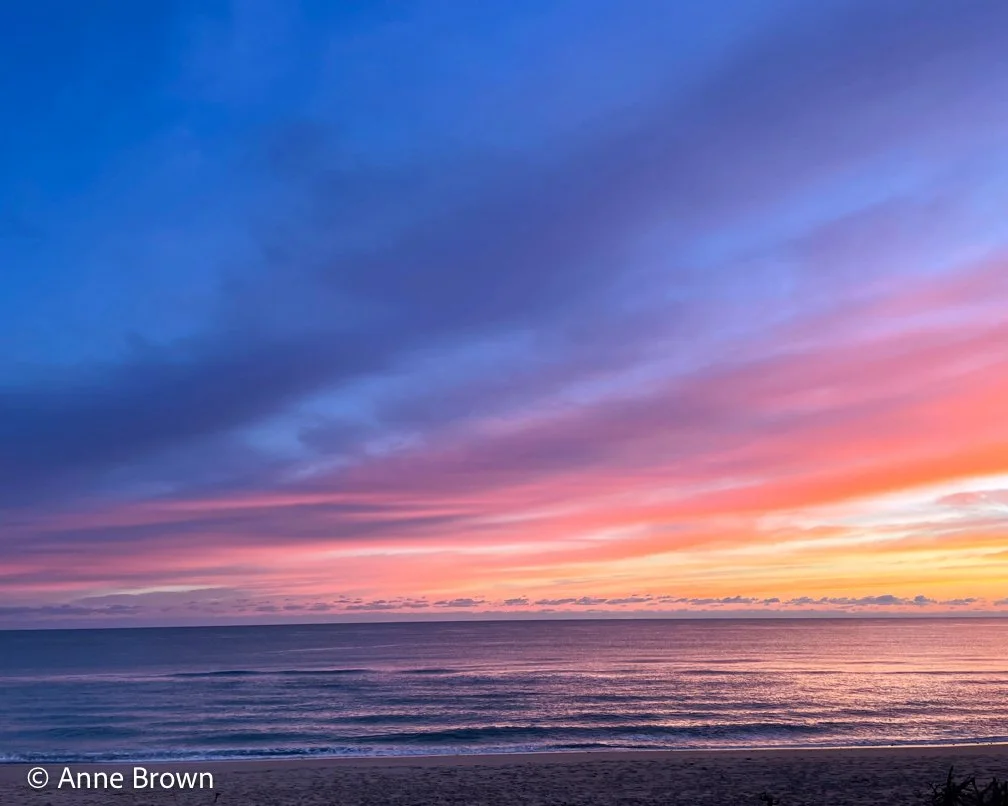 Approaching Dawn, Wellfleet — Anne Brown