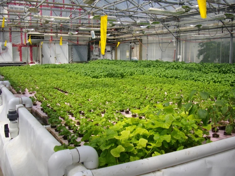 7 Incredible Therapeutic Farms in America