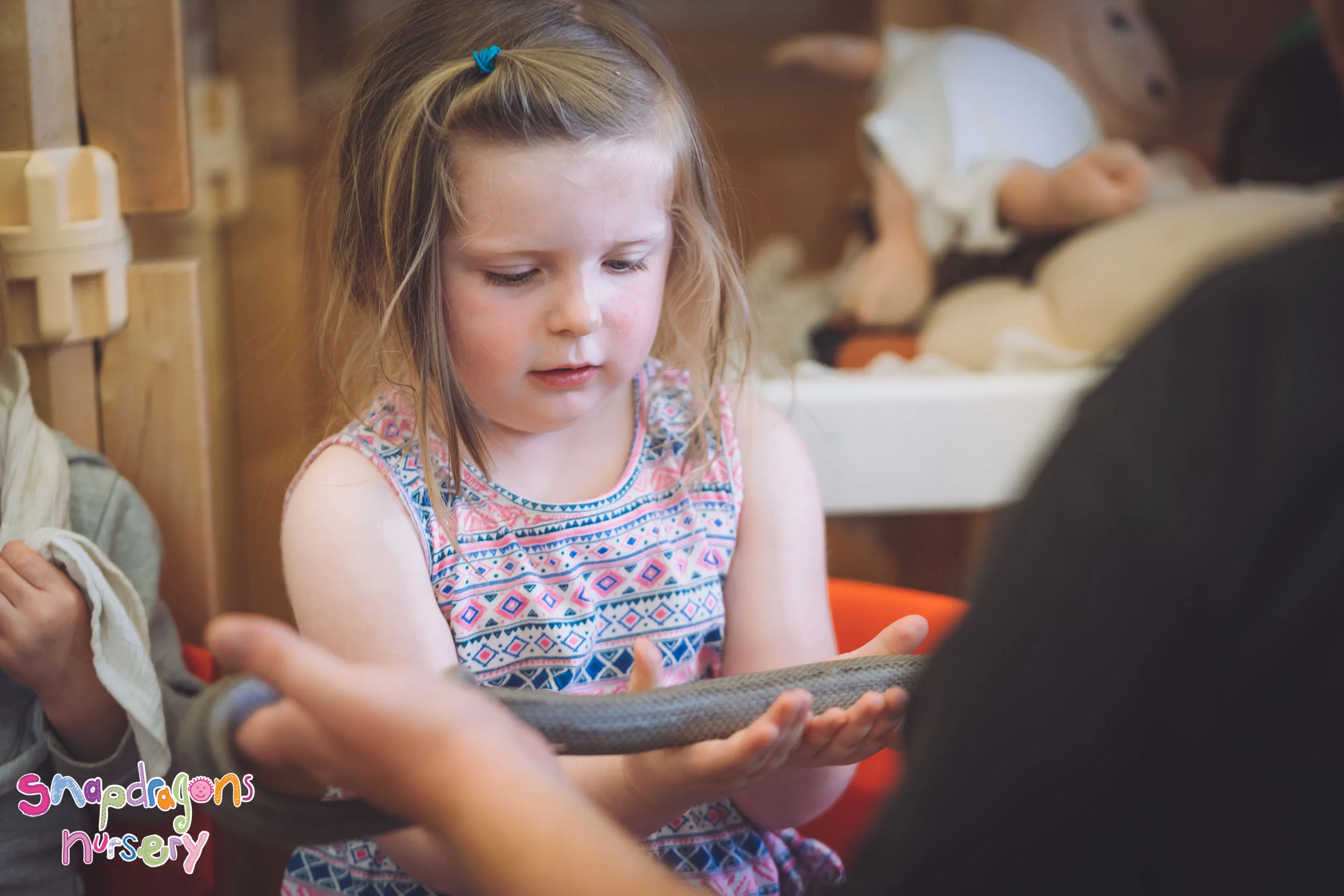 Keynsham gallery — Snapdragons Nursery