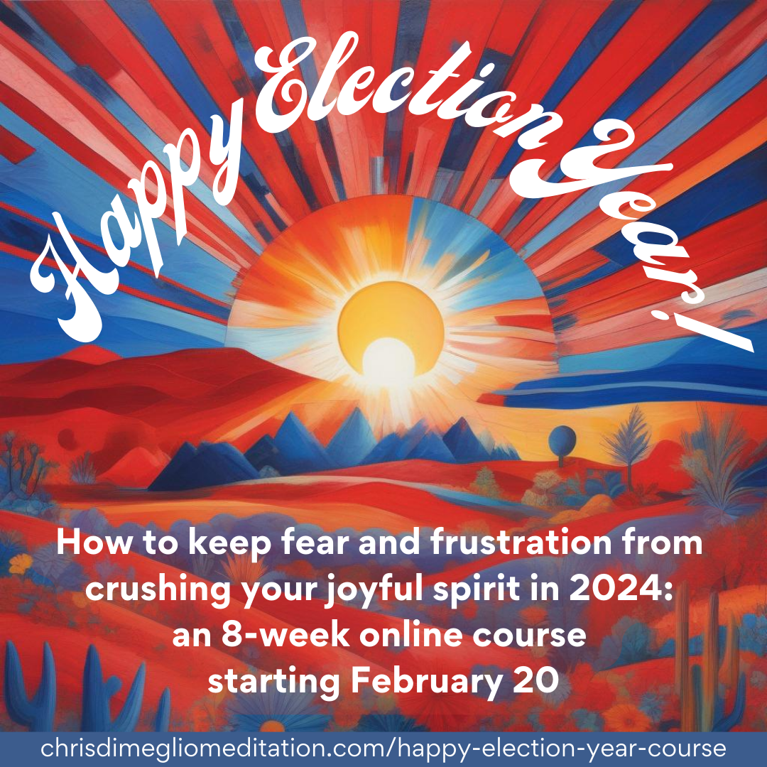 Happy Election Year Course — Chris DiMeglio Meditation