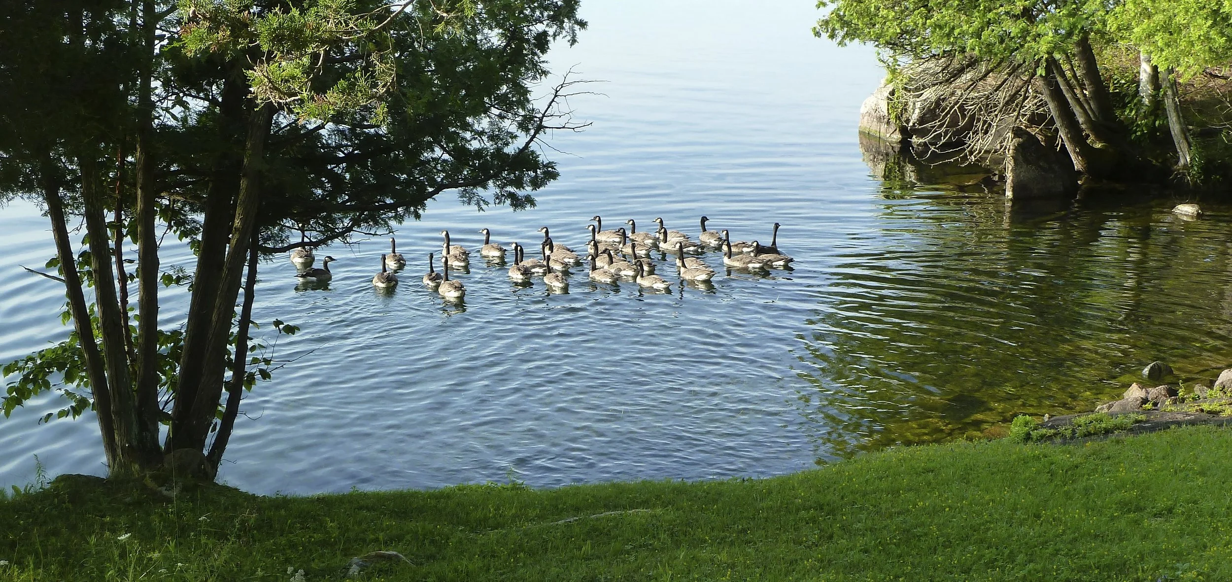 About Us — Big Rideau Lake Association
