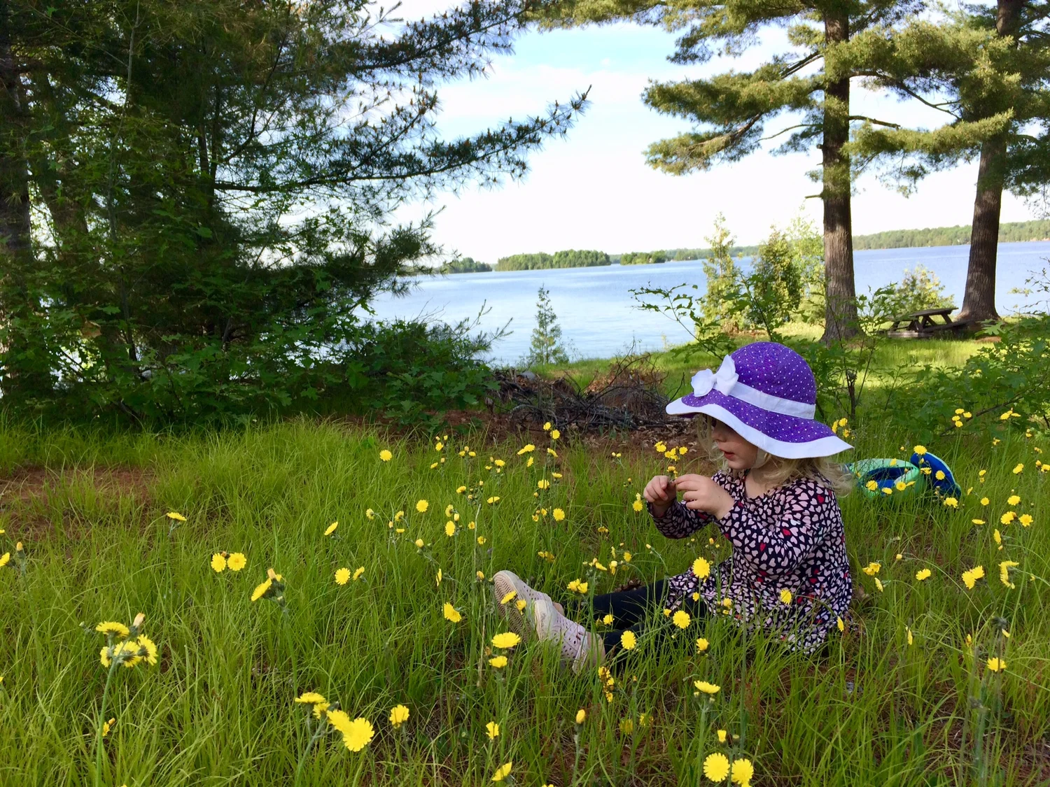 Big Rideau Lake Association