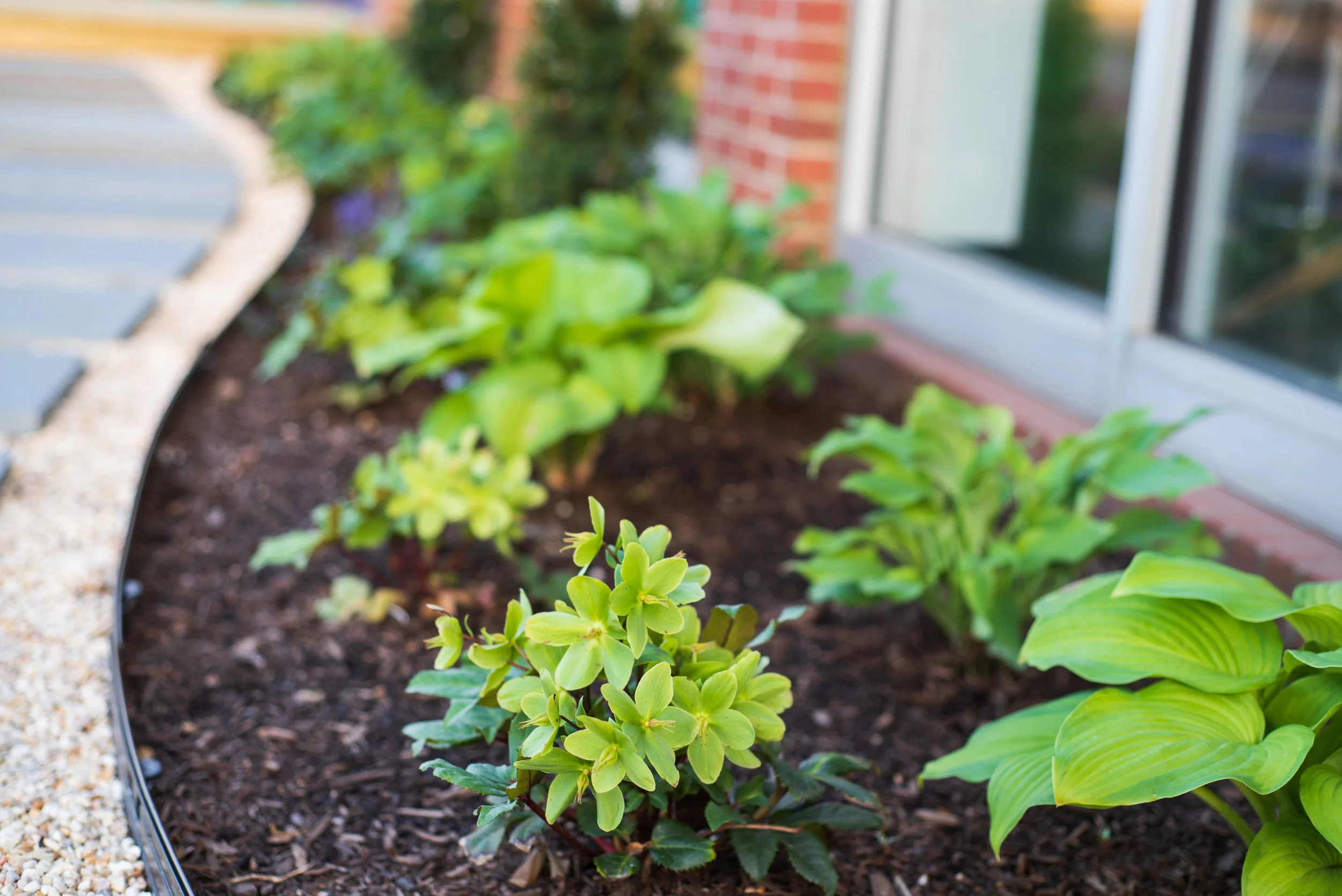 Our Work — escape landscape designs