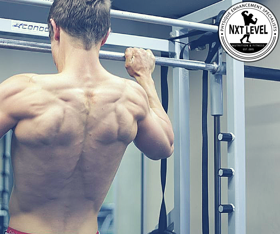 No Pain No Gain Bodybuilding Back