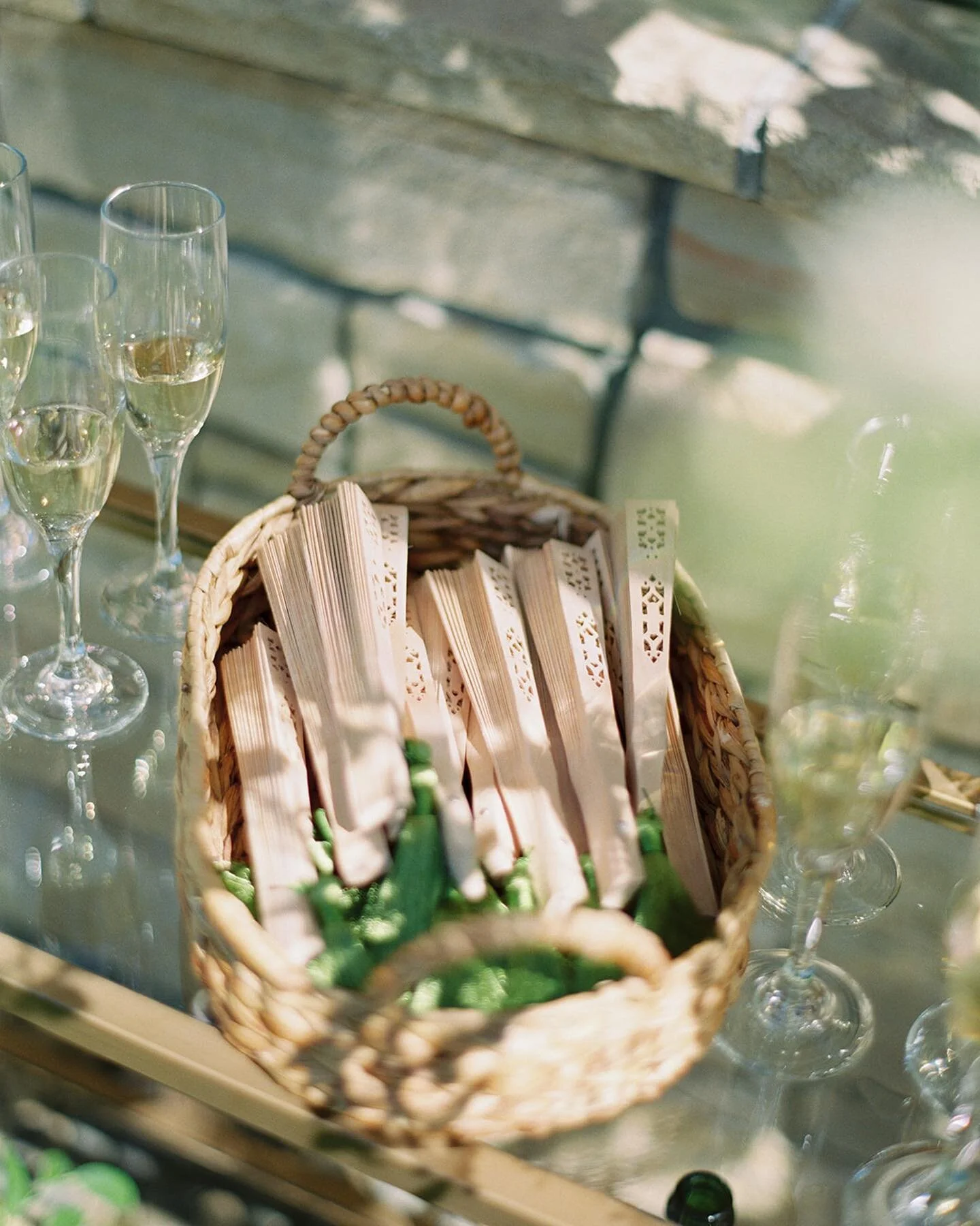 Whitney + Tim — Ira + Lucy