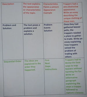 Write Now Right Now-The Blog-Informational Writing, Text Structures and ...