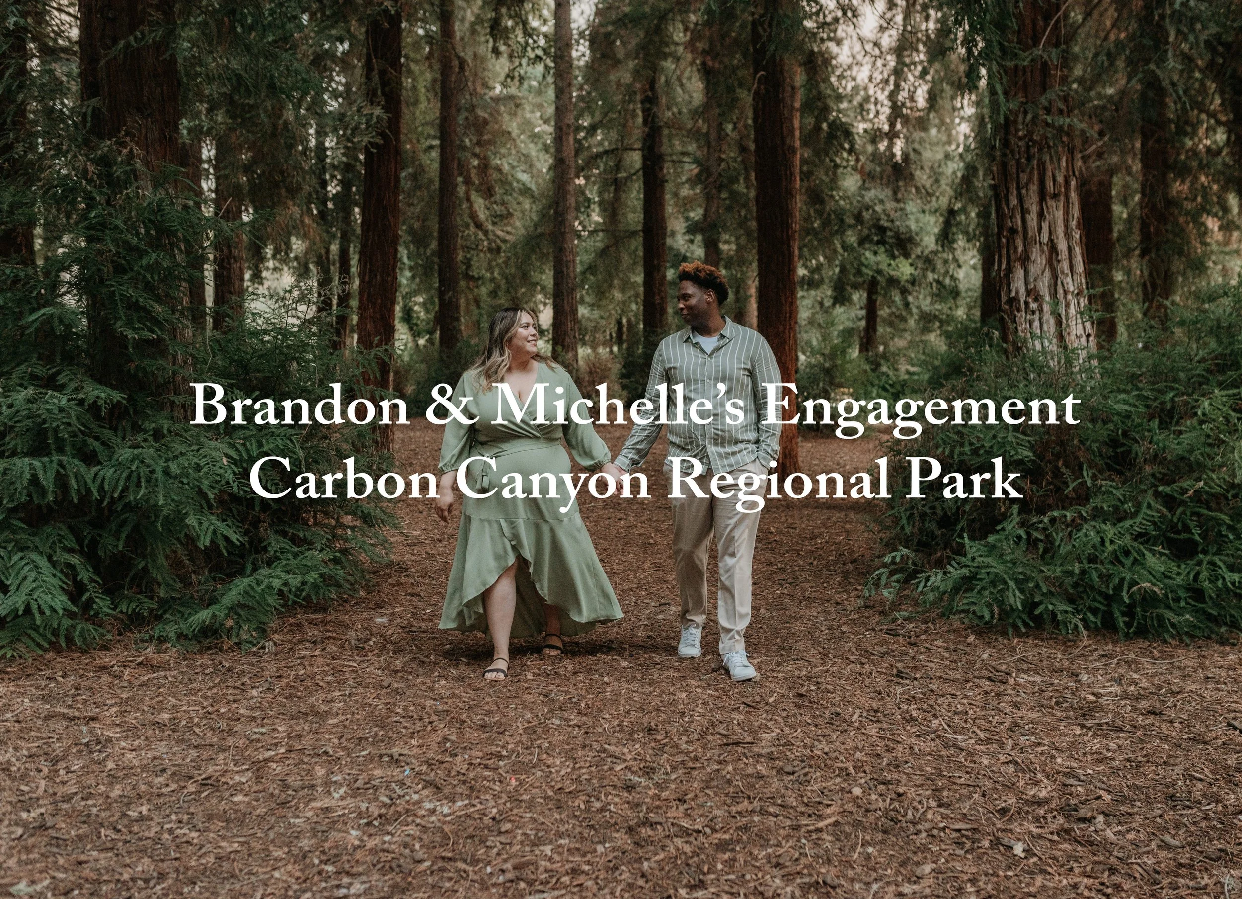 Vietnamese Engagement Session | Frank G. Bonelli Regional Park | San ...