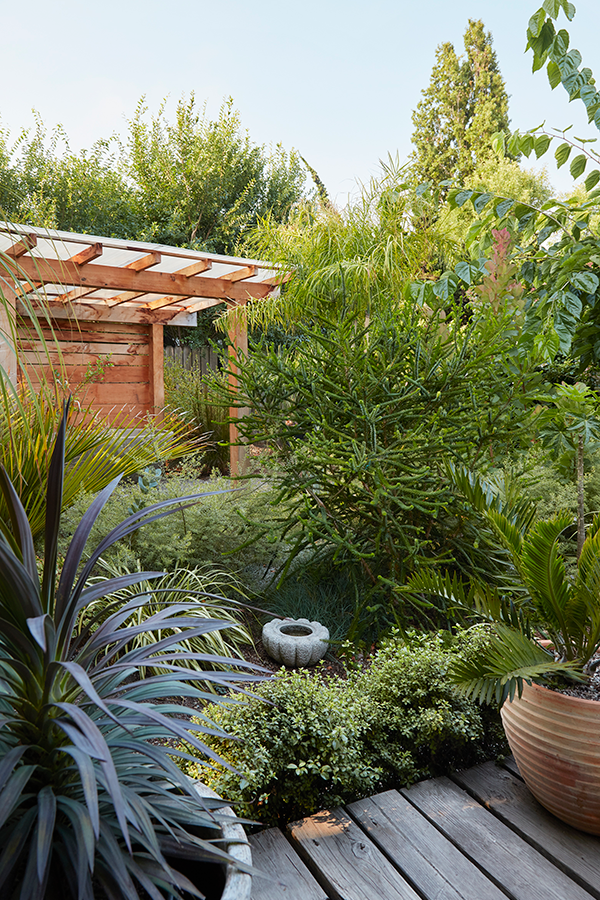 FLORA'S OWN GARDEN — FLORA GRUBB GARDENS