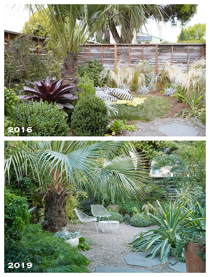 FLORA'S OWN GARDEN — FLORA GRUBB GARDENS