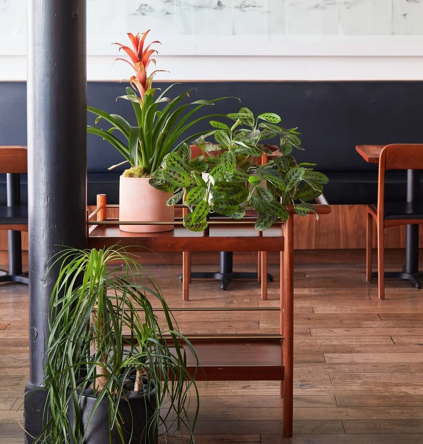 Terra-Cotta Pots and Planters — FLORA GRUBB GARDENS