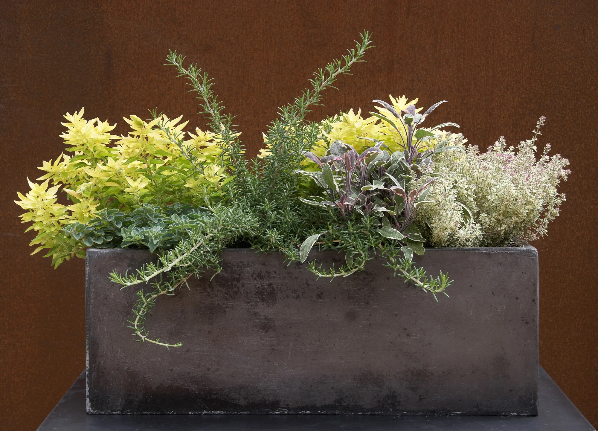 Fibreclay Containers and Planters — FLORA GRUBB GARDENS