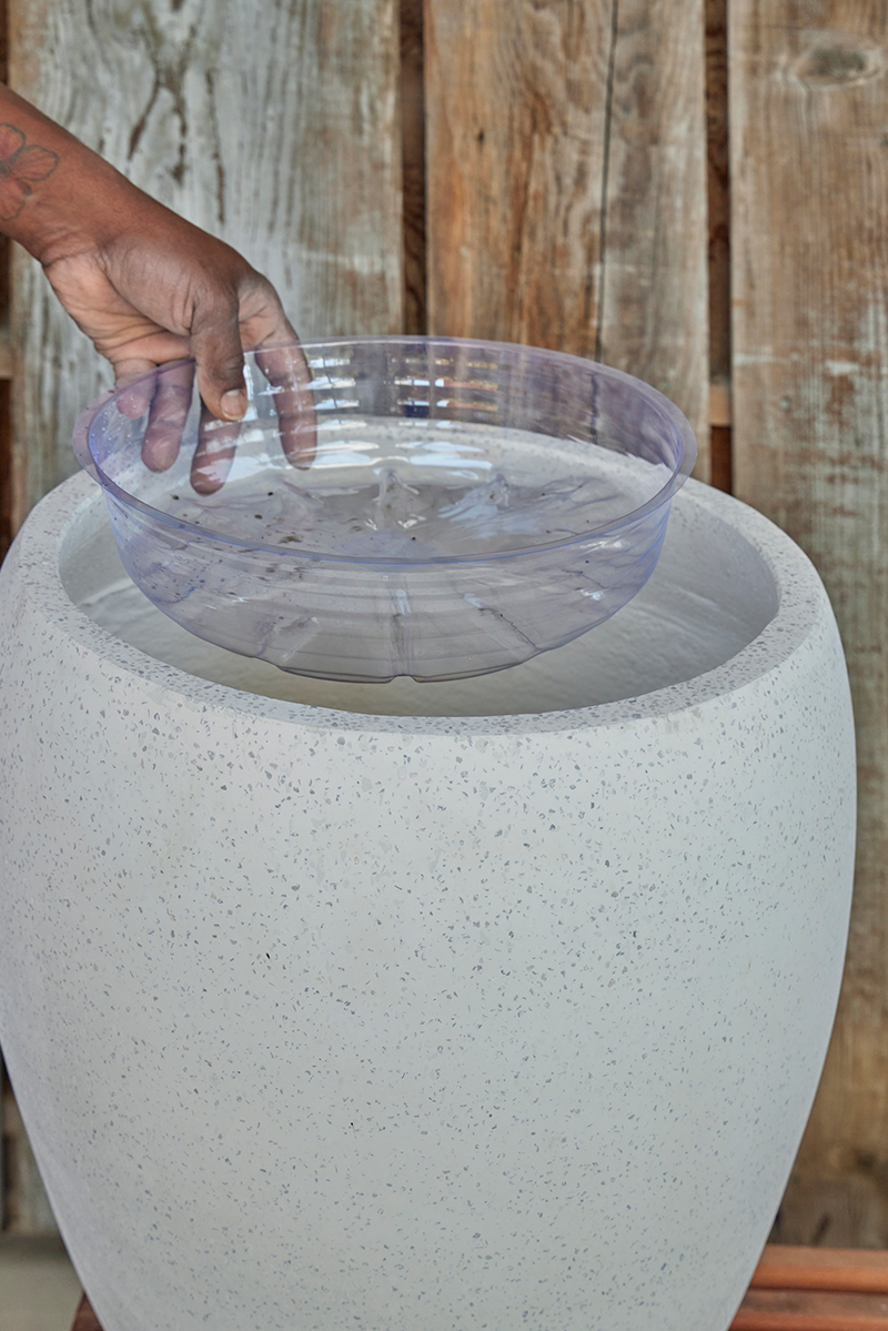 How (and Why!) to Use the Cachepot System for Your Houseplants — FLORA ...