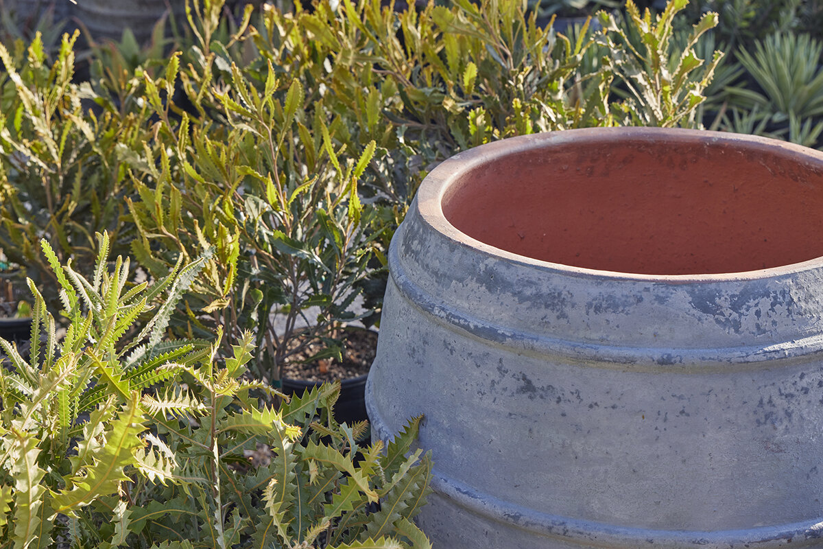 Rustic Ceramic Glazed Pots and Planters — FLORA GRUBB GARDENS