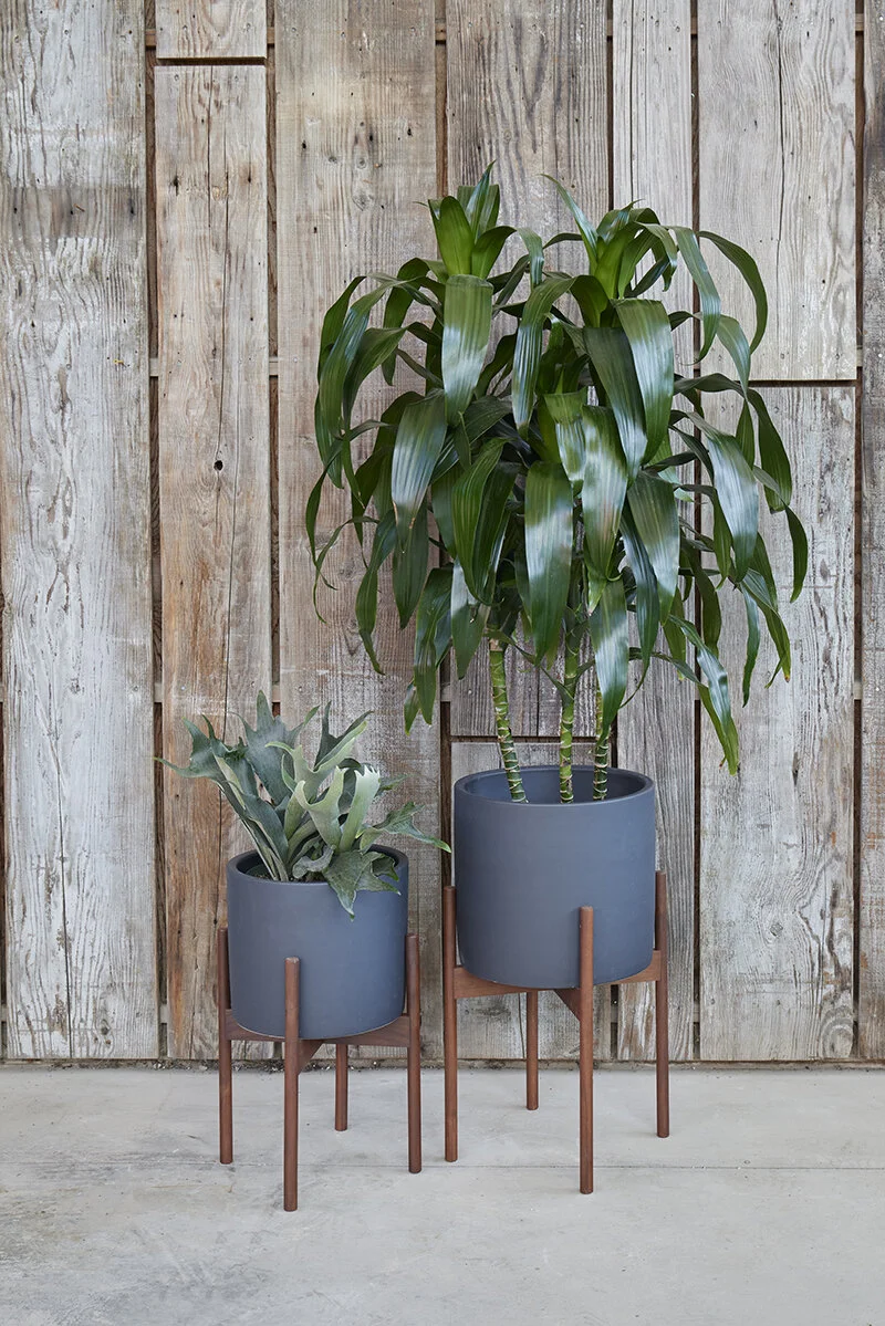 Case Study Ceramic Pots and Planters by Modernica — FLORA GRUBB GARDENS