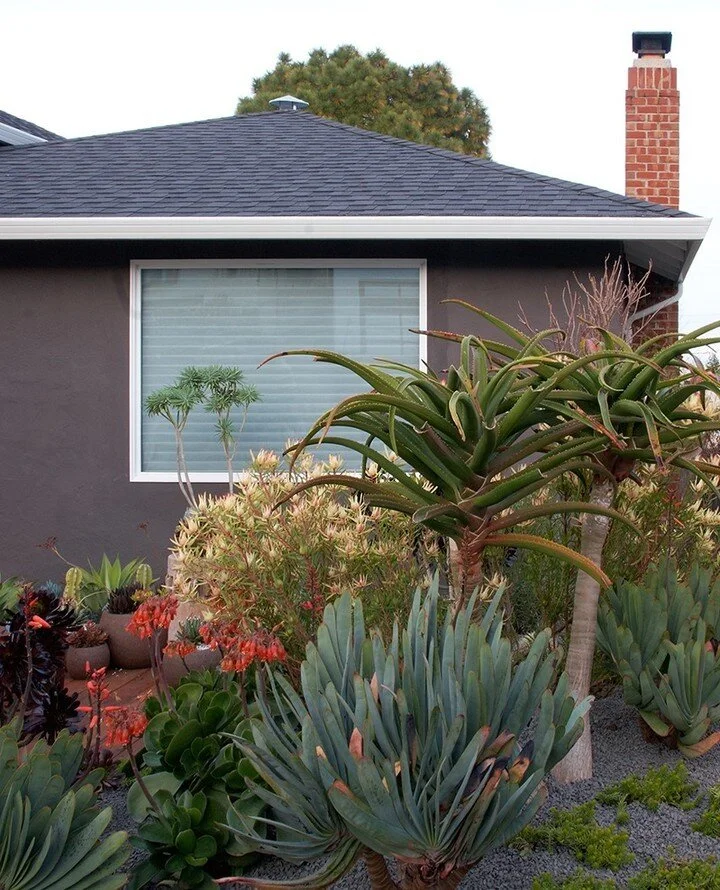 FLORA GRUBB GARDENS