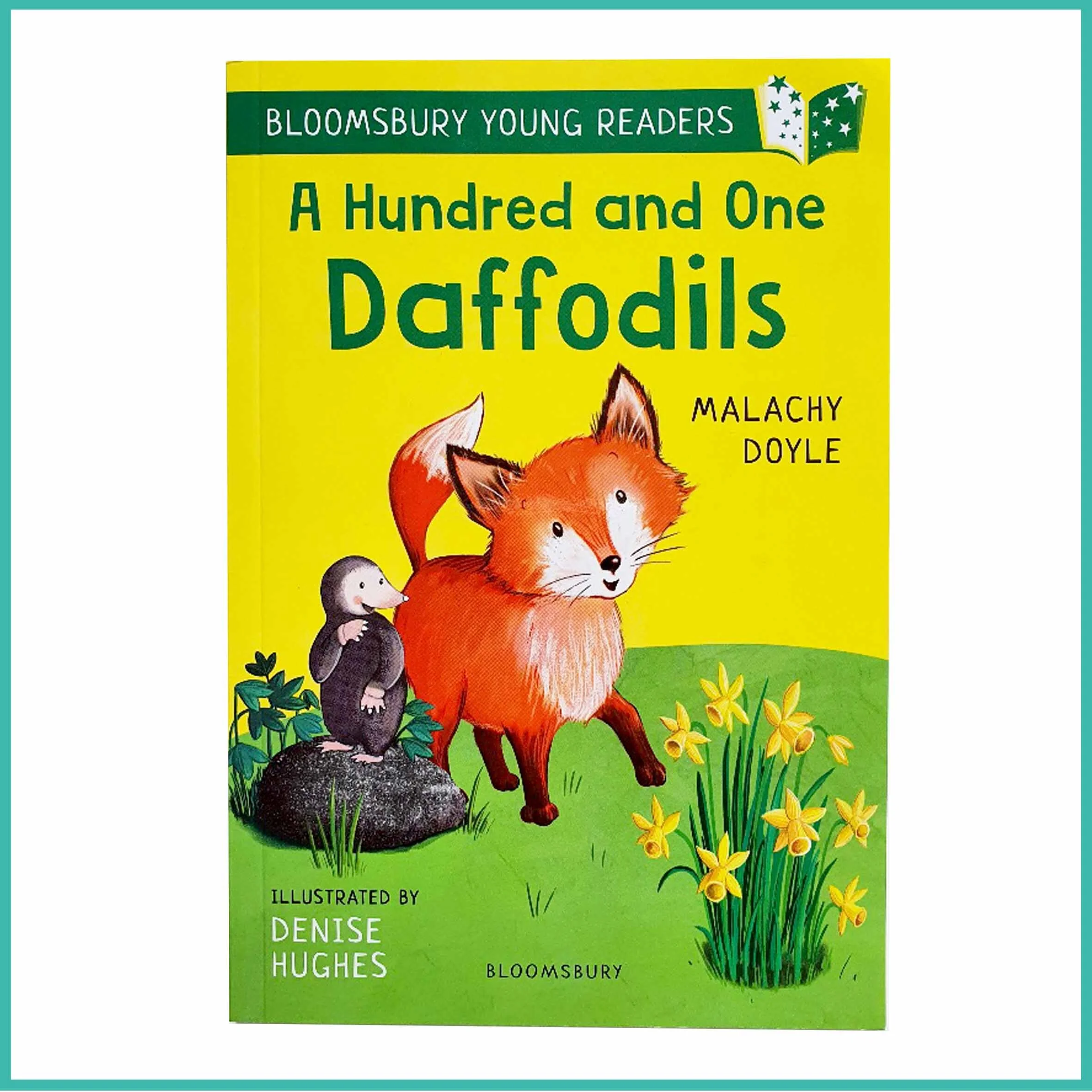 Books — Denise Hughes Designs