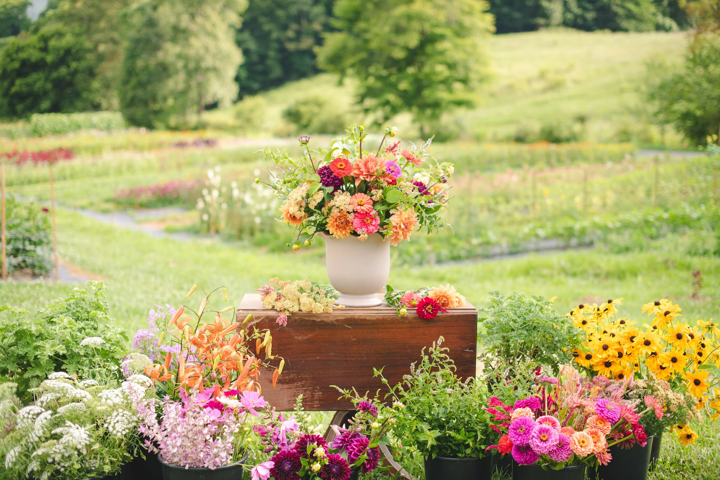 You-Pick Flowers — The Never Ending Flower Farm