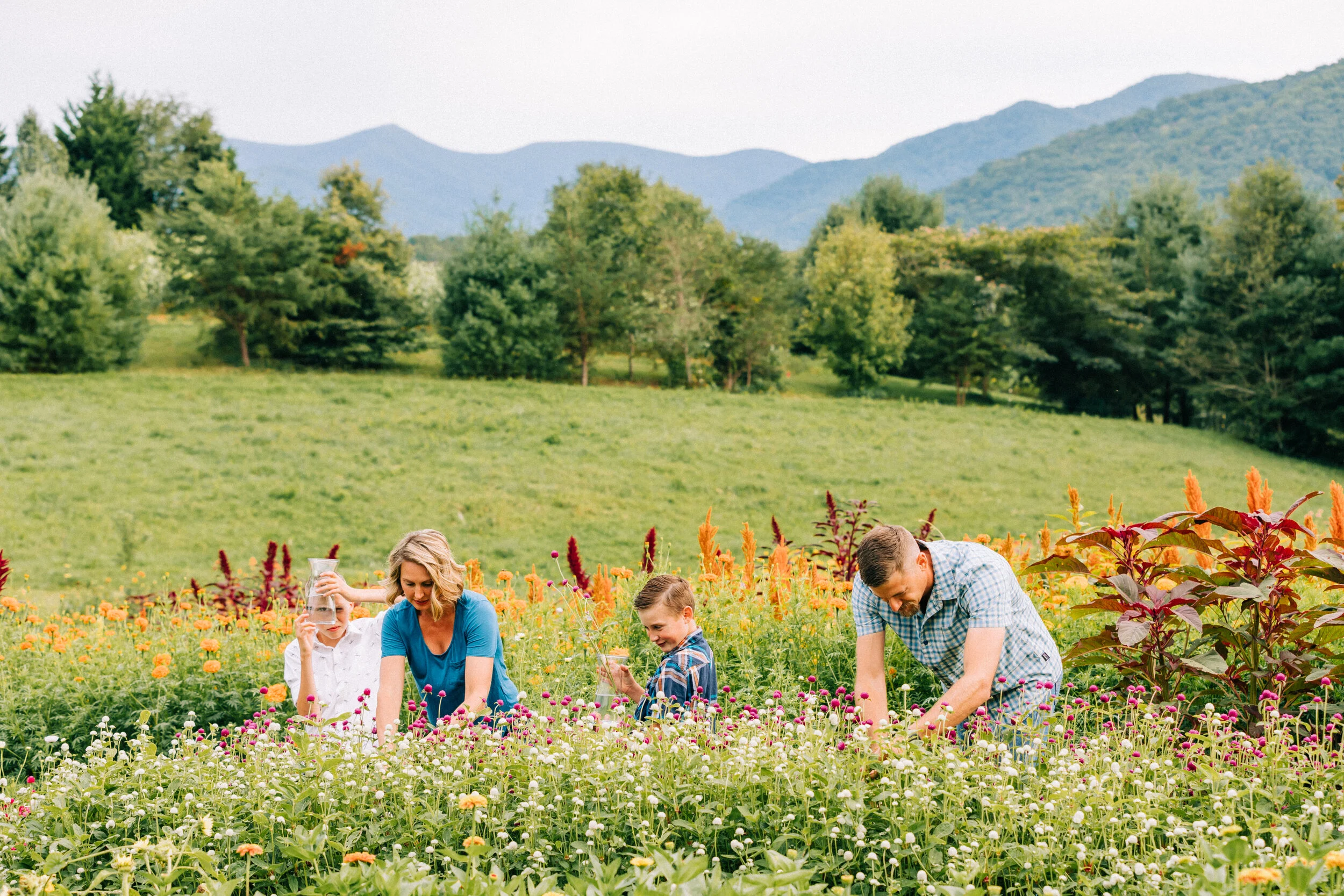 You-Pick Flowers — The Never Ending Flower Farm