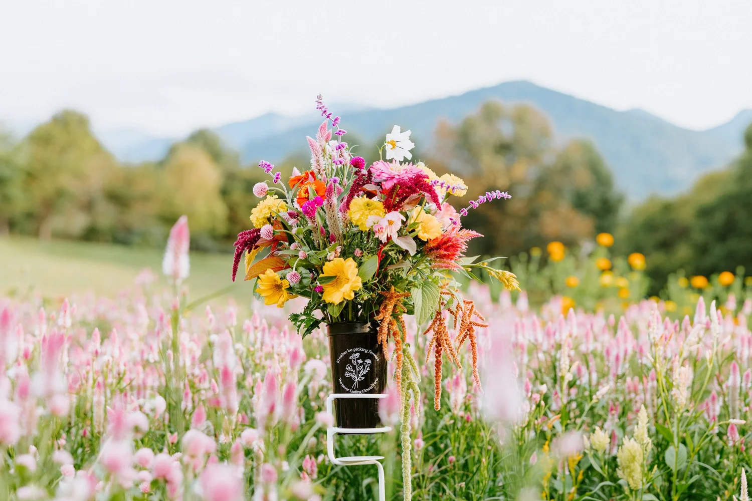 You-Pick flowers, flower field, flower farm — The Never Ending Flower Farm