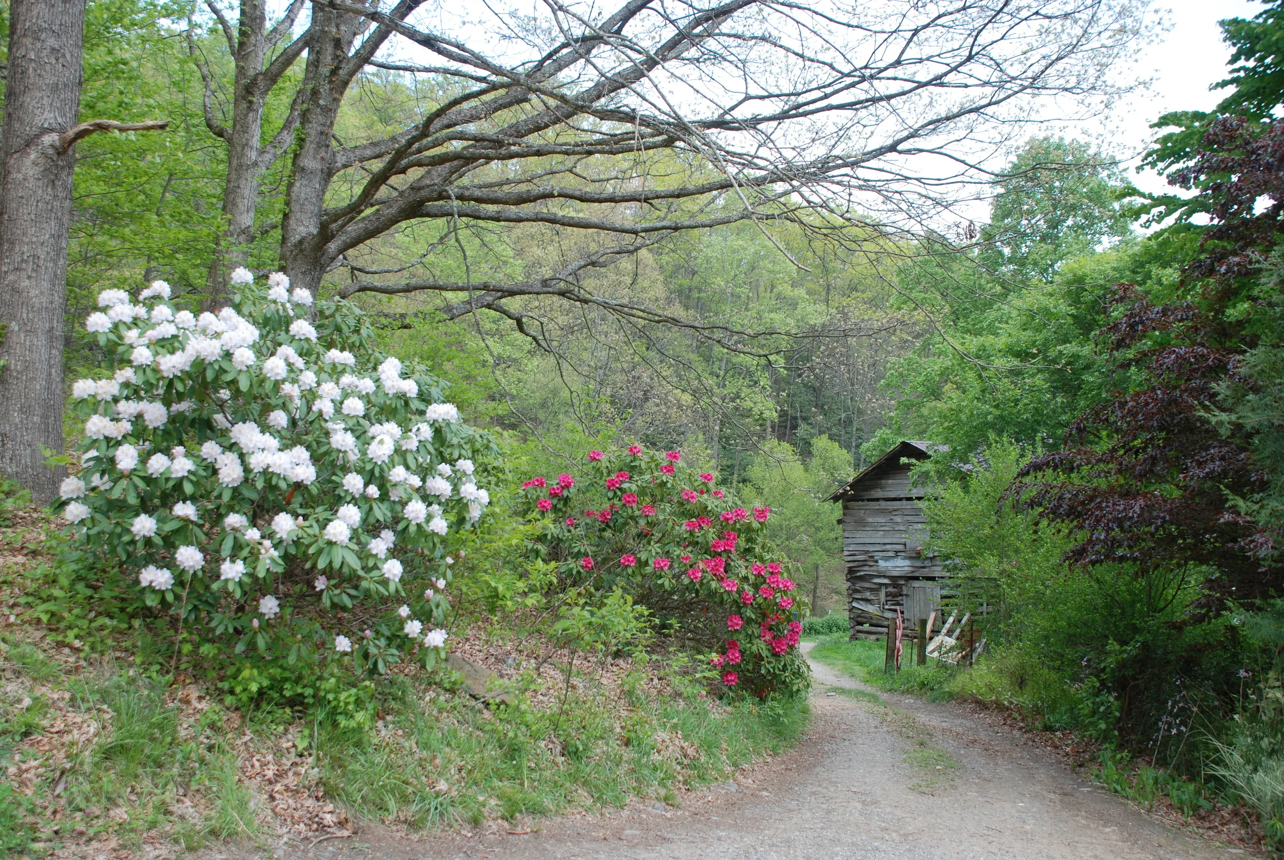 Farm Heritage Trail