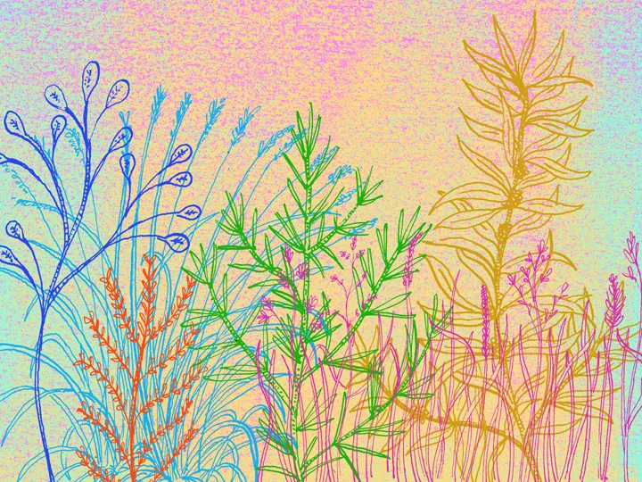 Abstract Artist Hal Mayforth - www.halmayforth.com