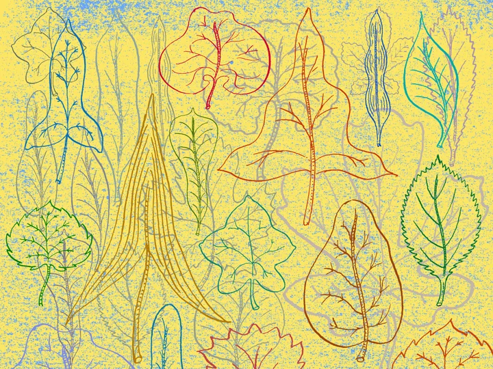 Abstract Artist Hal Mayforth - www.halmayforth.com