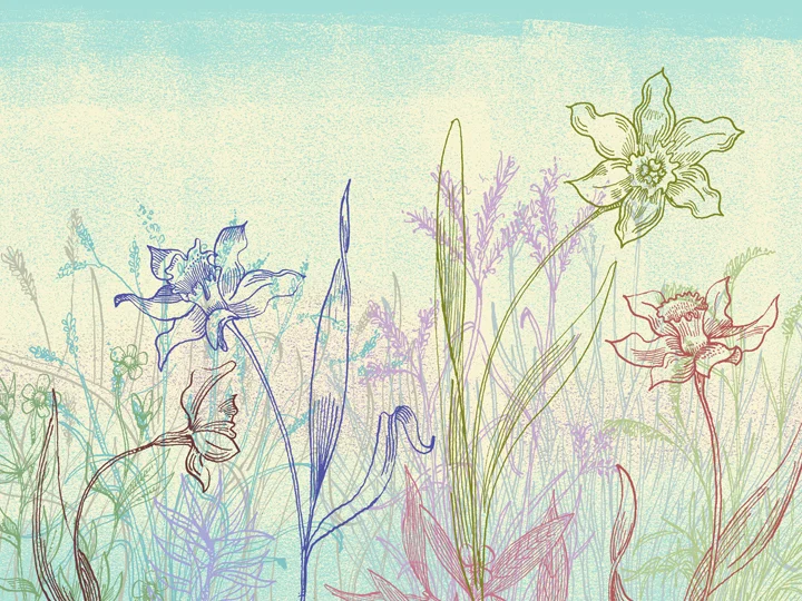 Abstract Artist Hal Mayforth - www.halmayforth.com