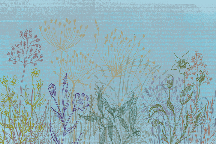 Abstract Artist Hal Mayforth - www.halmayforth.com