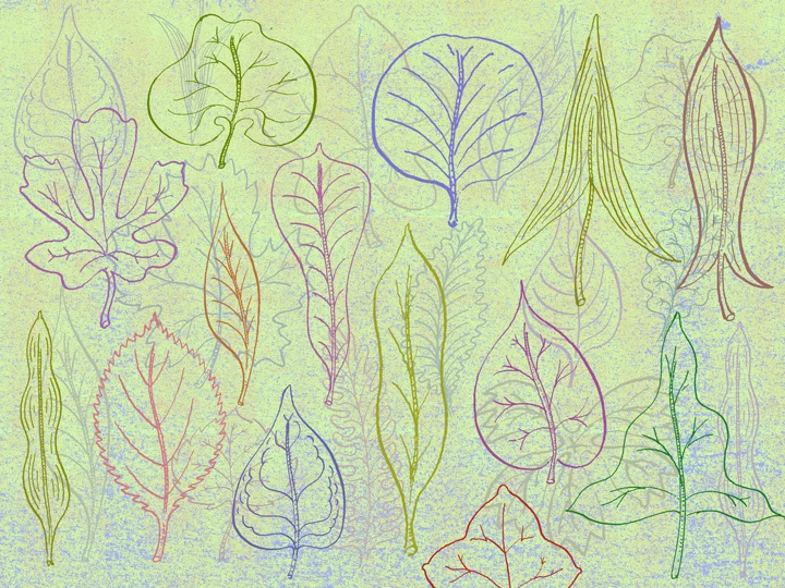 Abstract Artist Hal Mayforth - www.halmayforth.com